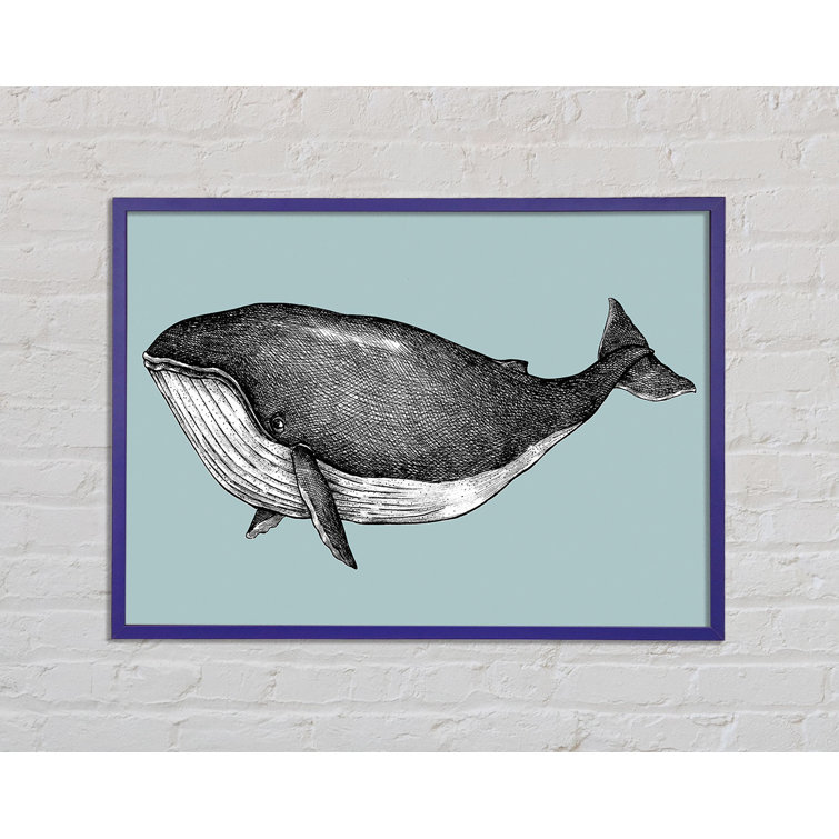 Highland Dunes Big Fat Whale - Single Picture Frame Art Prints ...