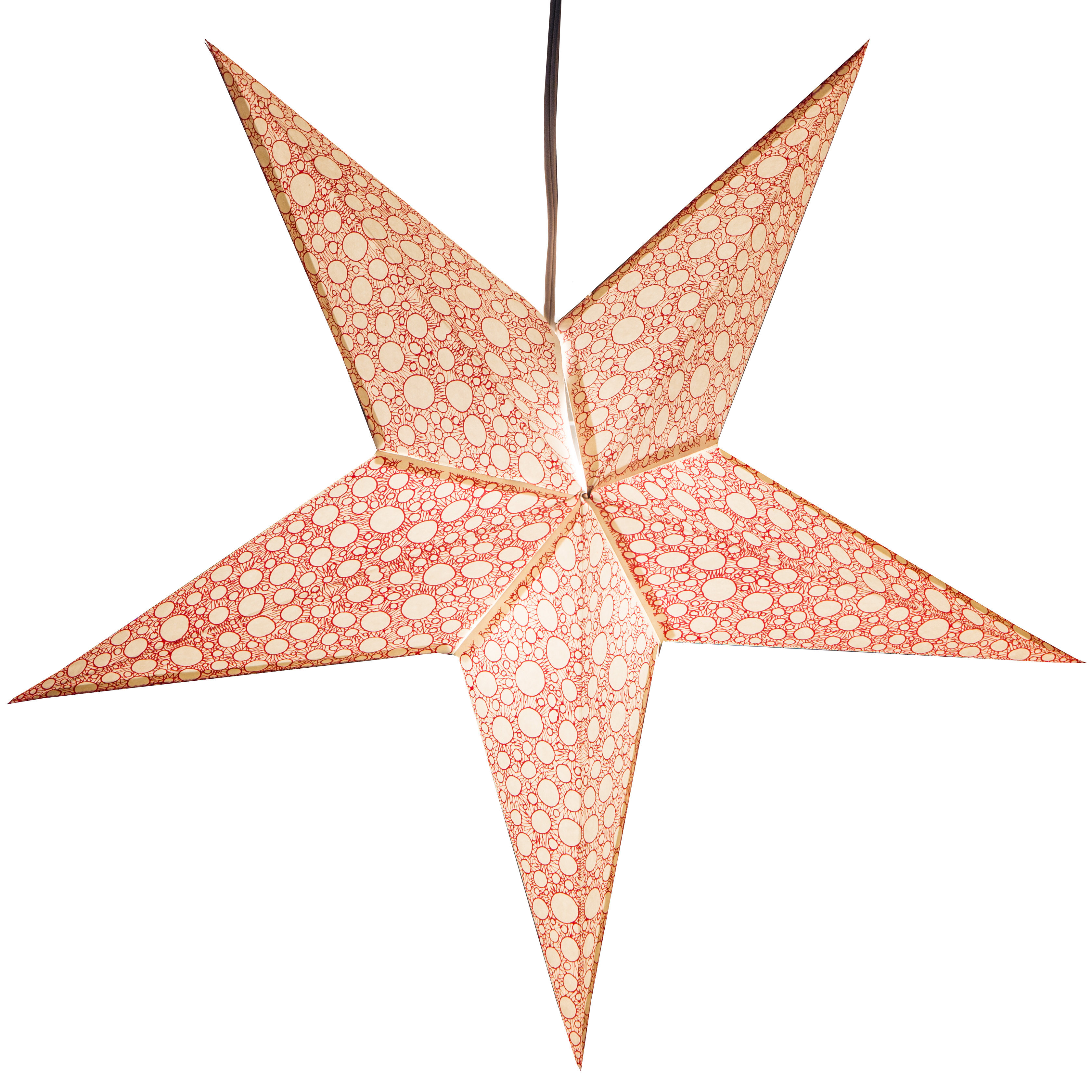 Hometown Evolution, Inc. Fizz Paper Star Light & Reviews - Wayfair Canada