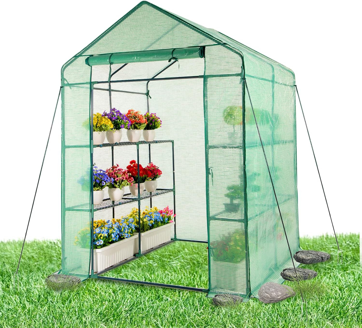 Bme Mini walk-in greenhouse - 77x56x56 in & Reviews | Wayfair