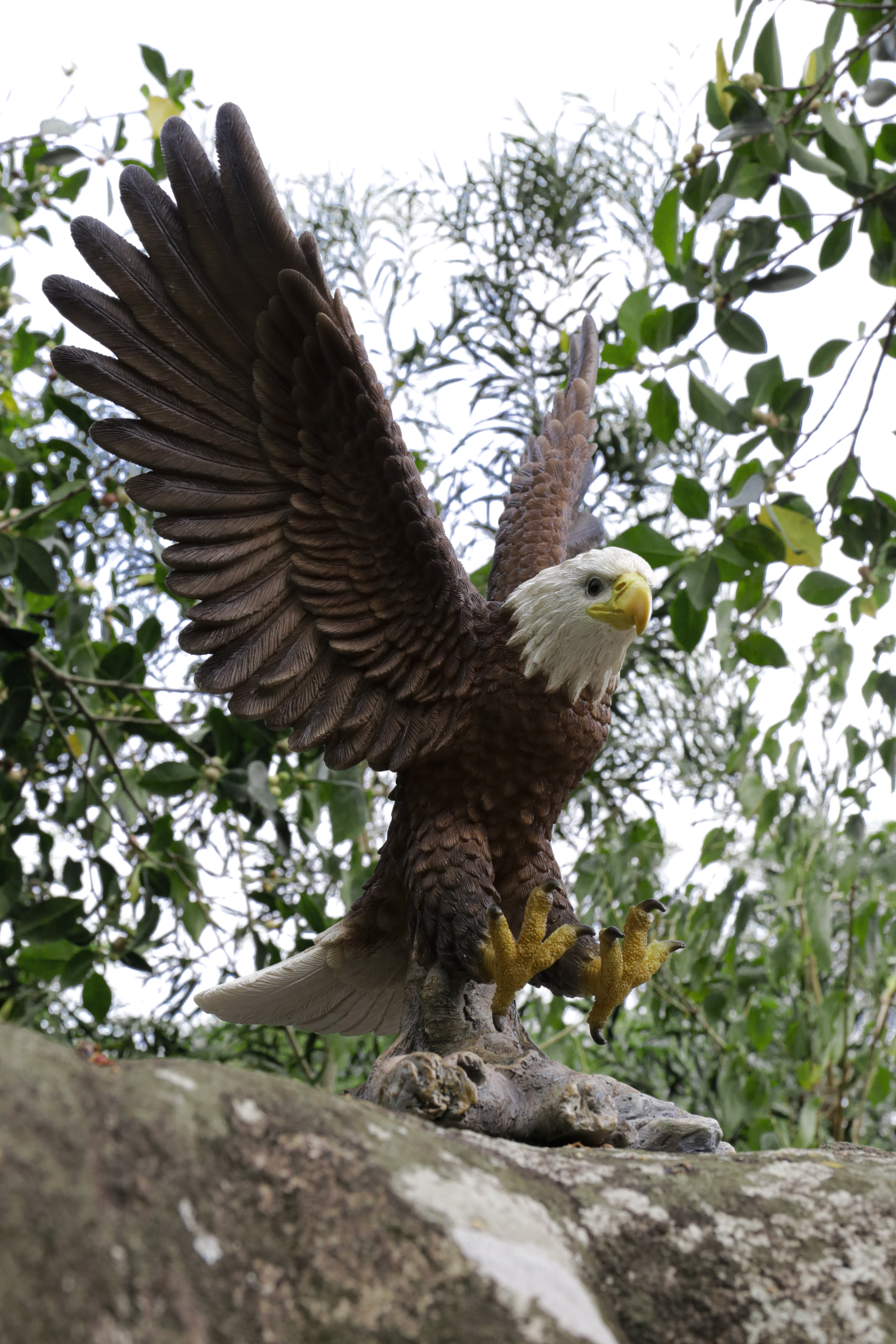 Hi-Line Gift Ltd. Petite statue d'aigle volant et Commentaires ...