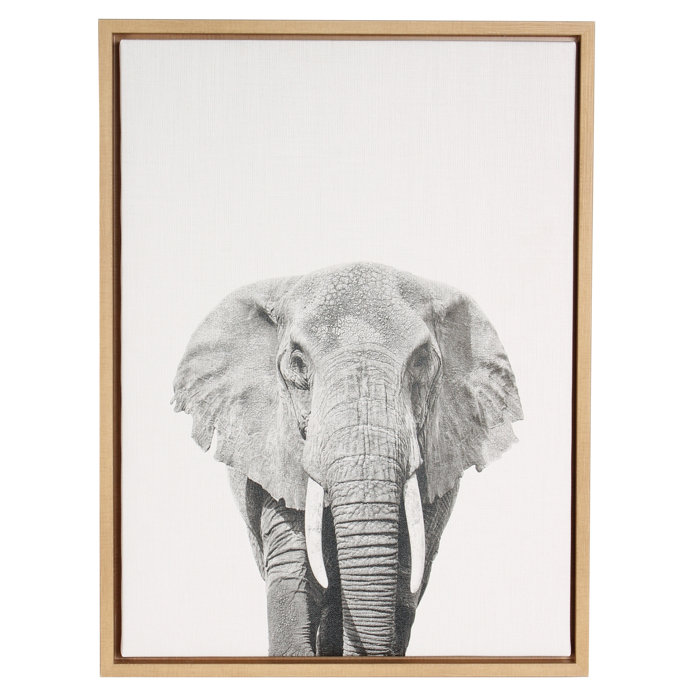 Ebern Designs Manton Elephant Black And White Portrait Framed On Canvas ...