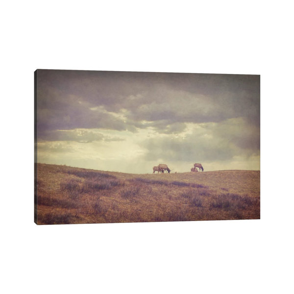 Natur Pur Windy Ridge by Roberta Murray - Wrapped Canvas Print ...