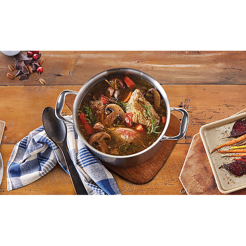 NUCU 9.5 qt. Stainless Steel Stock Pot with Lid | Wayfair