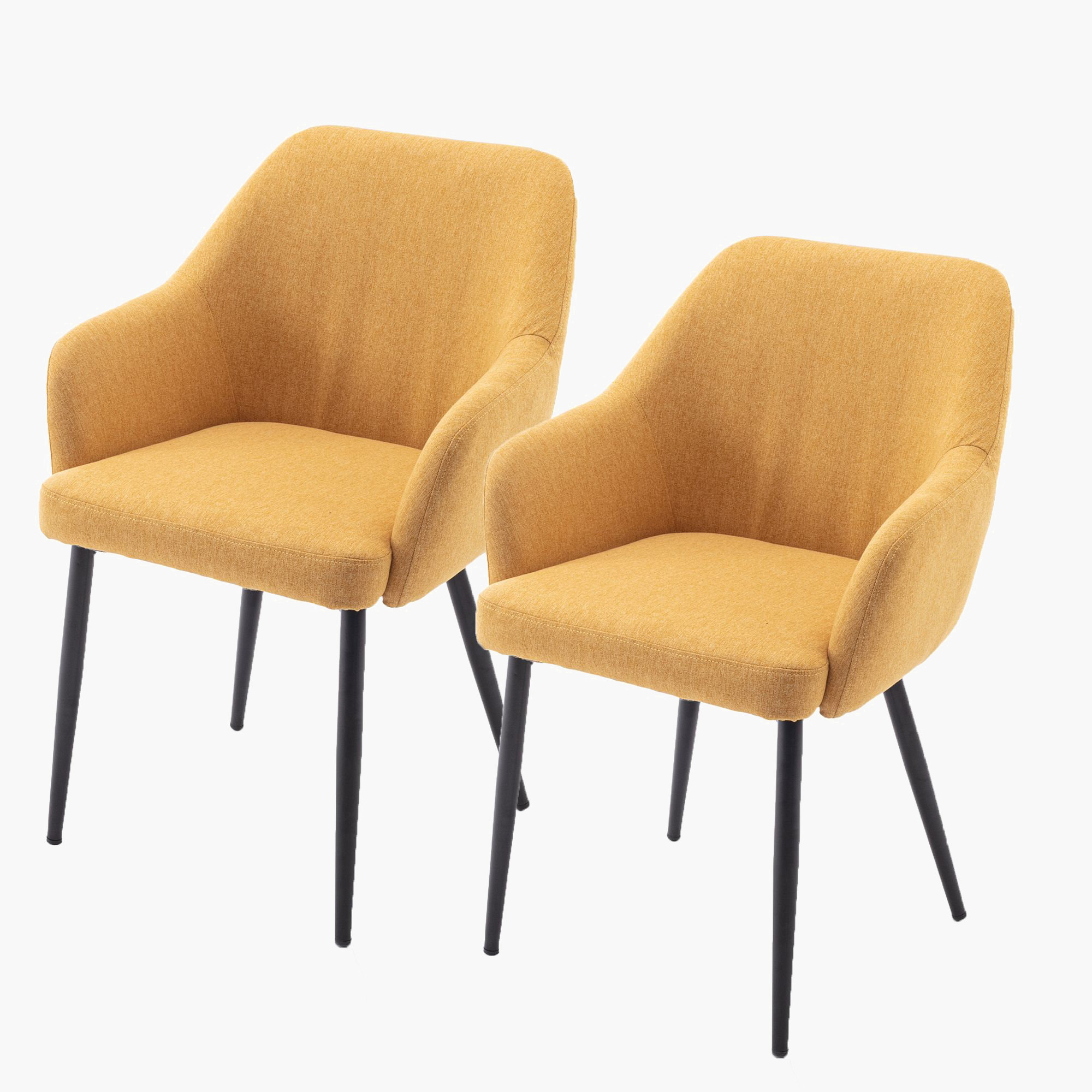 Corrigan Studio® 2 Piece Chair Set | Wayfair