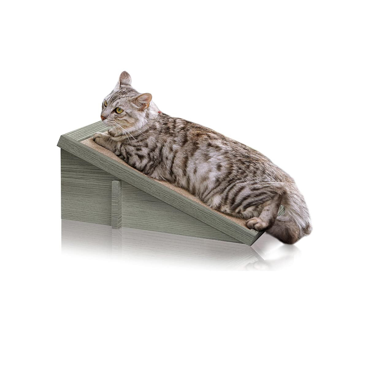 Tucker Murphy Pet™ Premium Cat Scraper Tilt Wedge Scraper, Indoor Cat ...