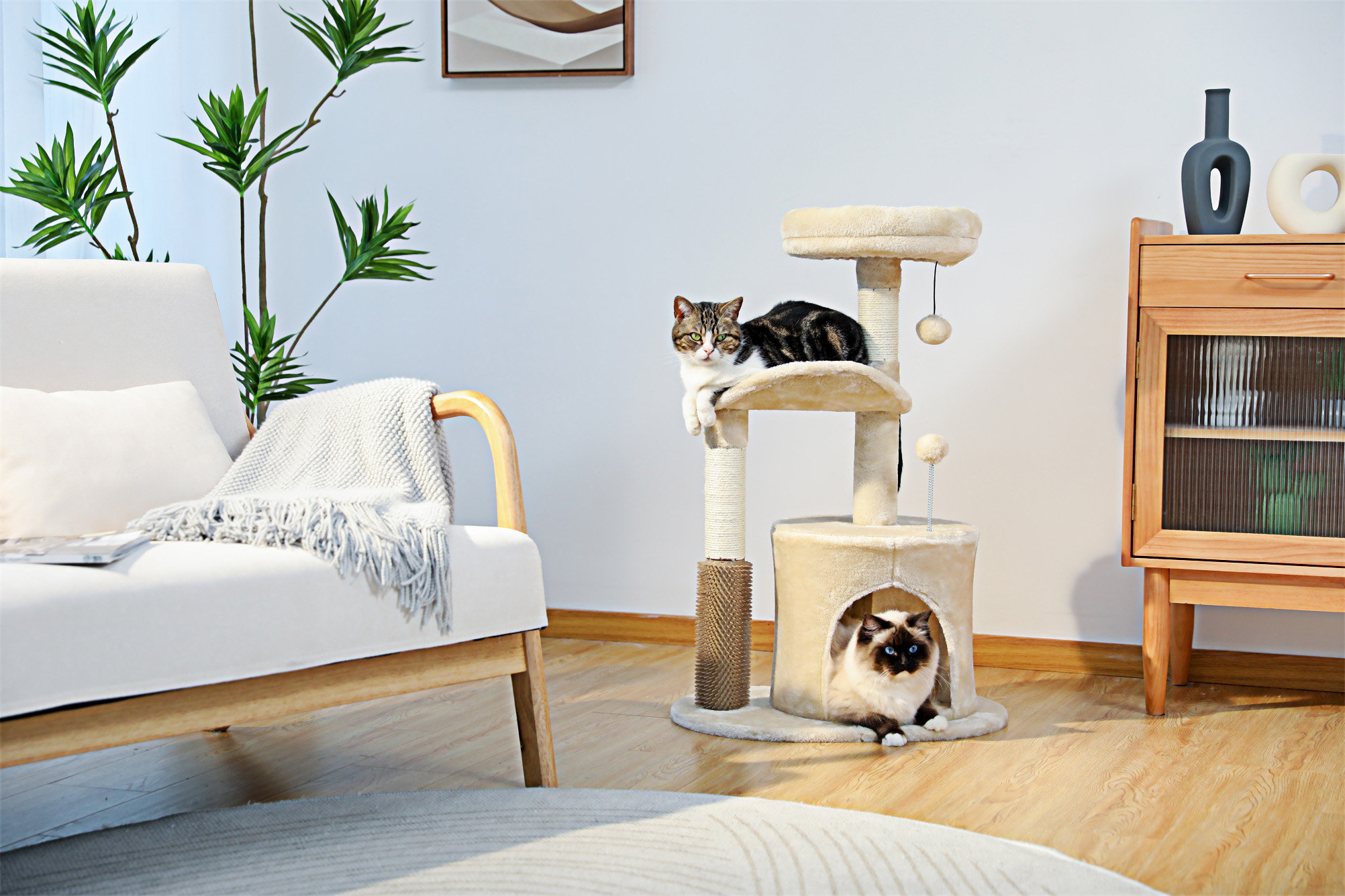 Tucker Murphy Pet™ Indoor Cat Tree Medium Cat Tower With Interactive ...