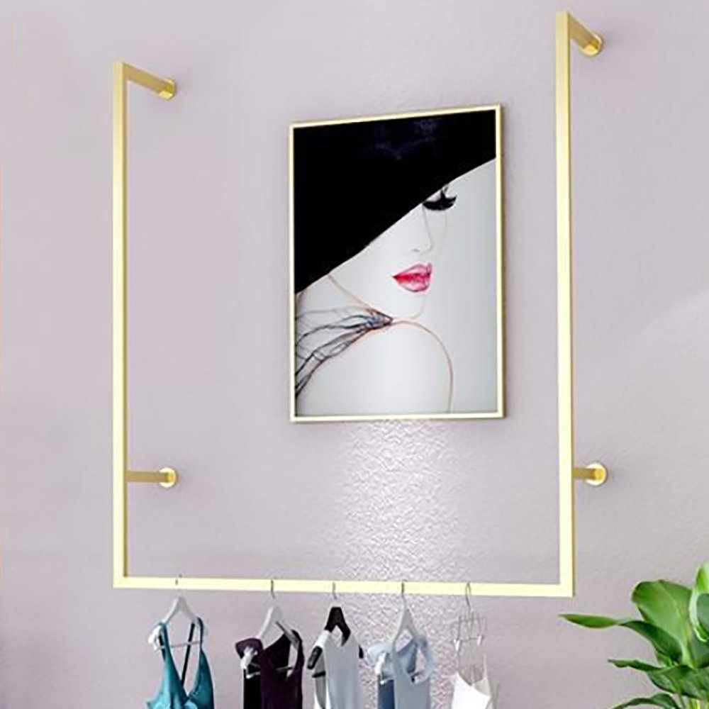 Everly Quinn Dareld Wall Mounted Clothing Display Rack & Reviews | Wayfair
