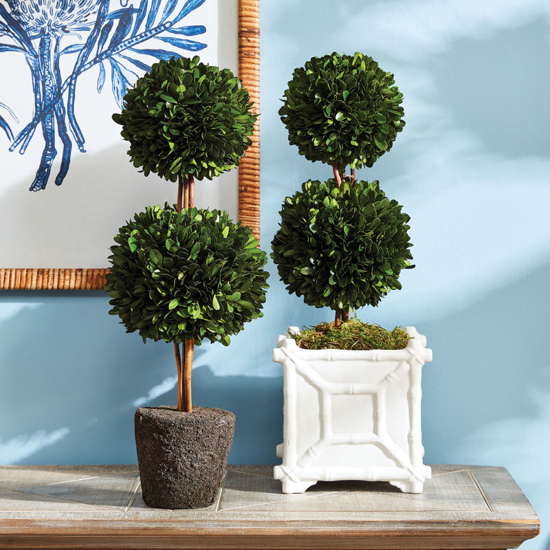 Three Posts™ Swader Centerpiece in Pot | Wayfair