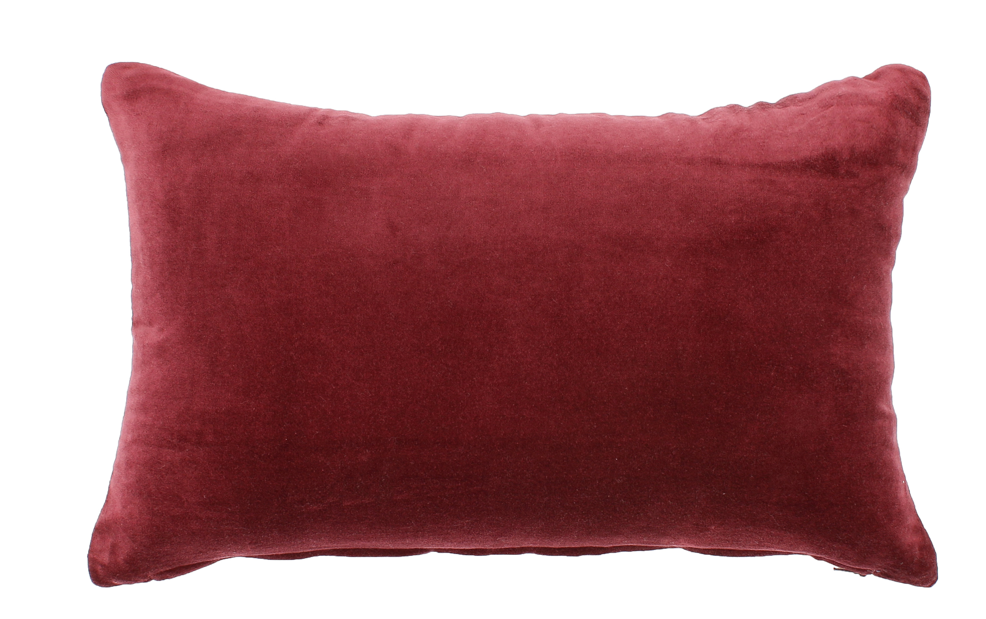 Jiti Rectangular Velvet Pillow Cover & Insert | Wayfair