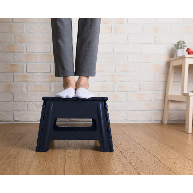 WFX Utility™ Nortonview Space Saving Step Stool & Reviews | Wayfair