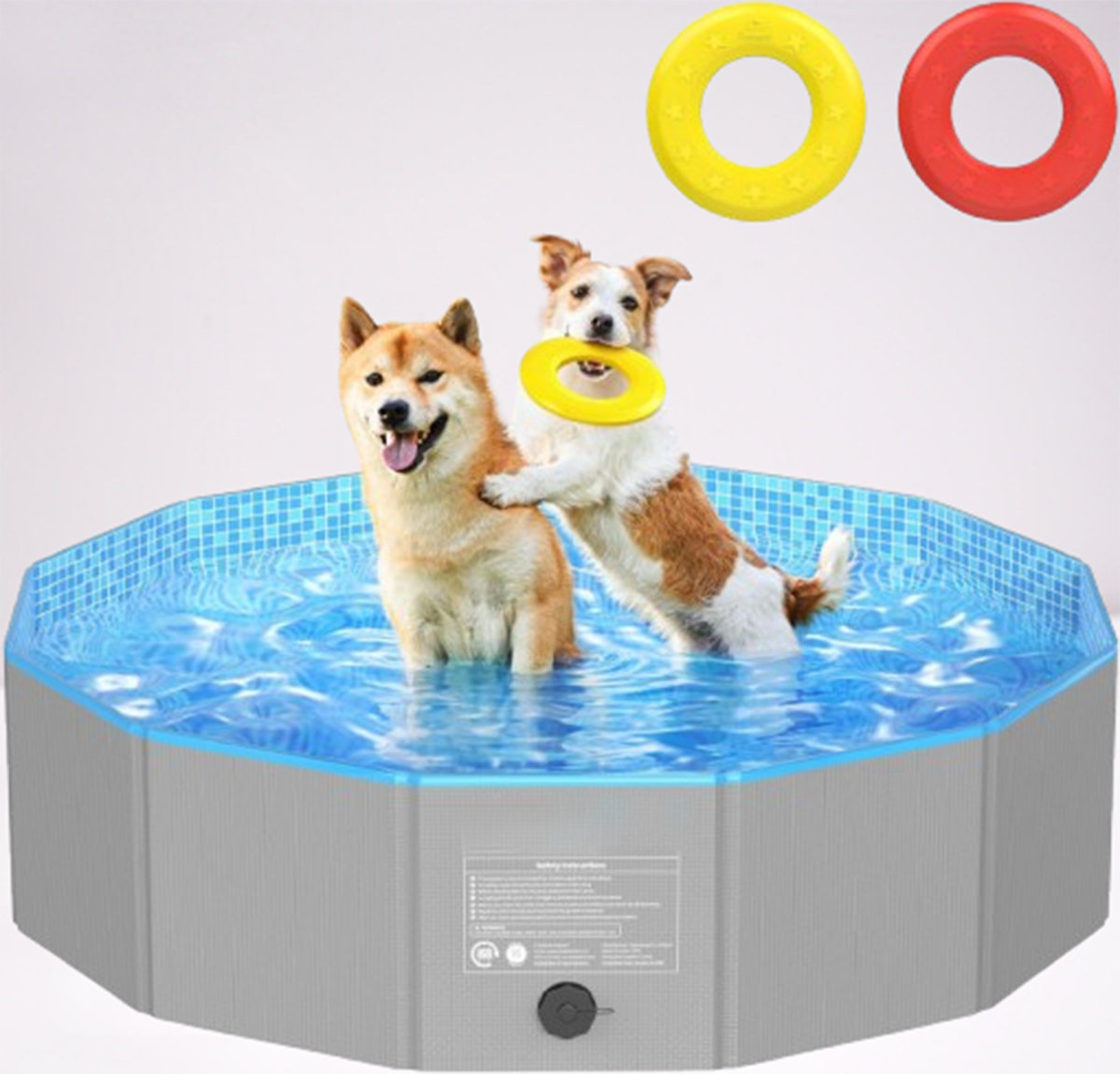VIDVIG 48 Inch Foldable Hard Plastic Dog Pool with 2 Frisbees, Ideal ...