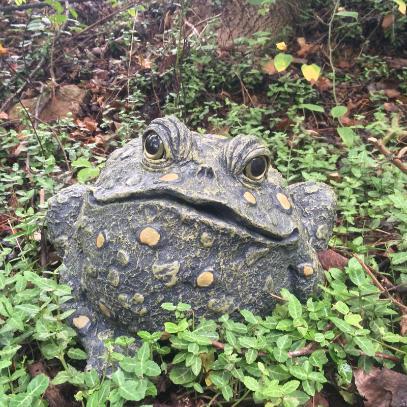 HomeStyles Toad Hollow Garden Statue & Reviews | Wayfair