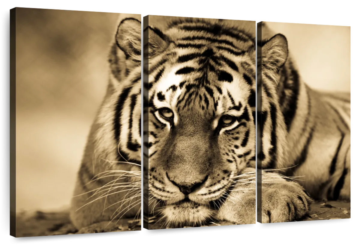 Ebern Designs Ferocious Tiger III - Wayfair Canada