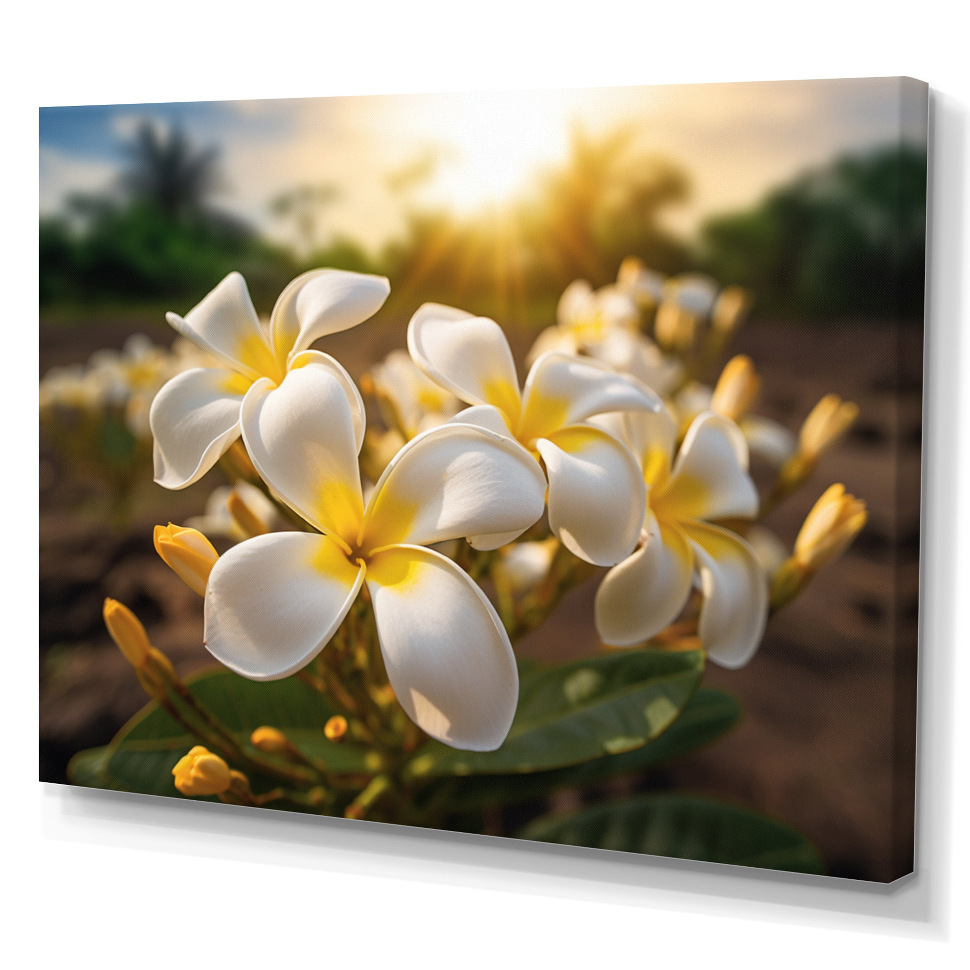 Latitude Run® Yellow White Exotic Plumeria Blooms II On Canvas Print ...