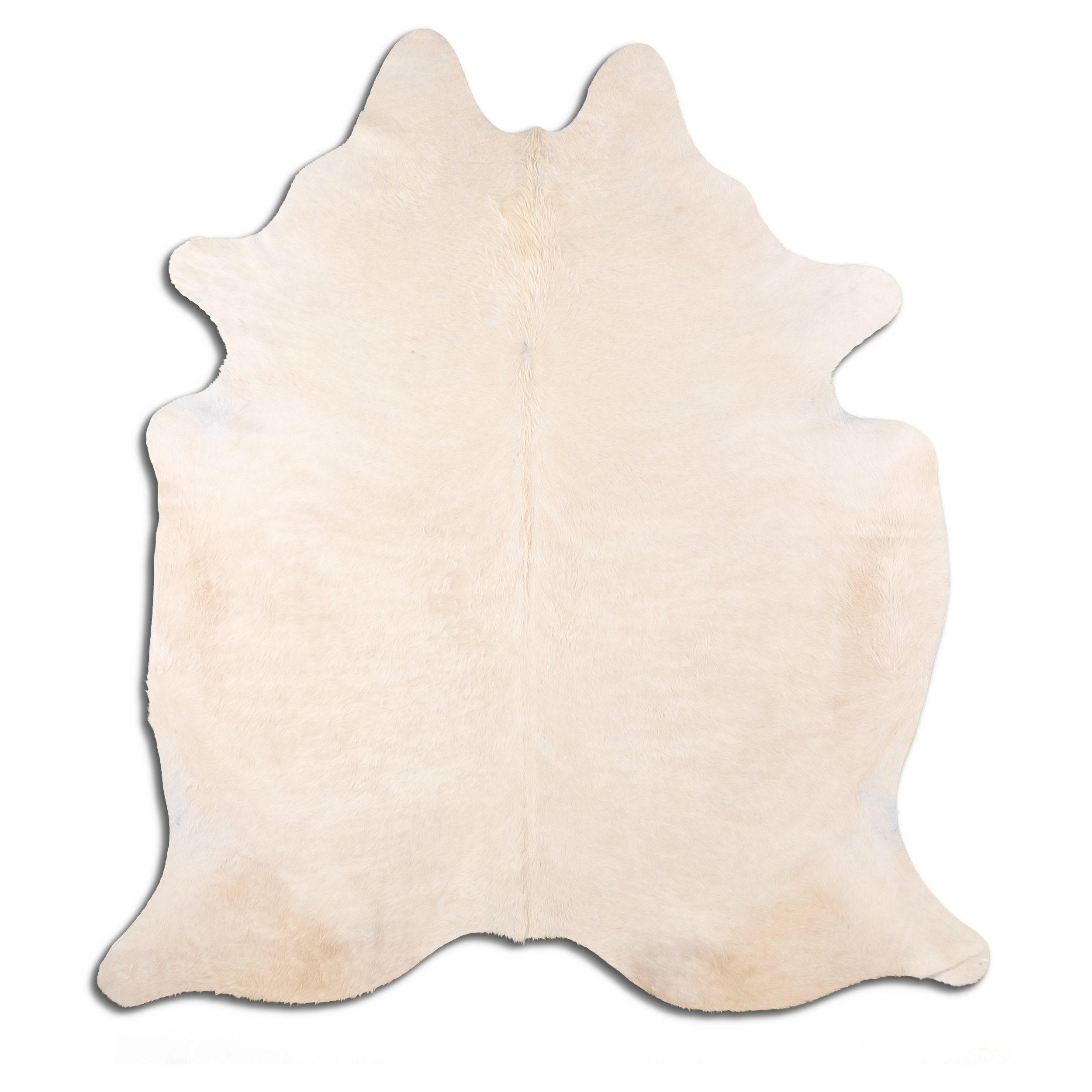 Foundry Select Handmade Cowhide Beige Area Rug - Wayfair Canada