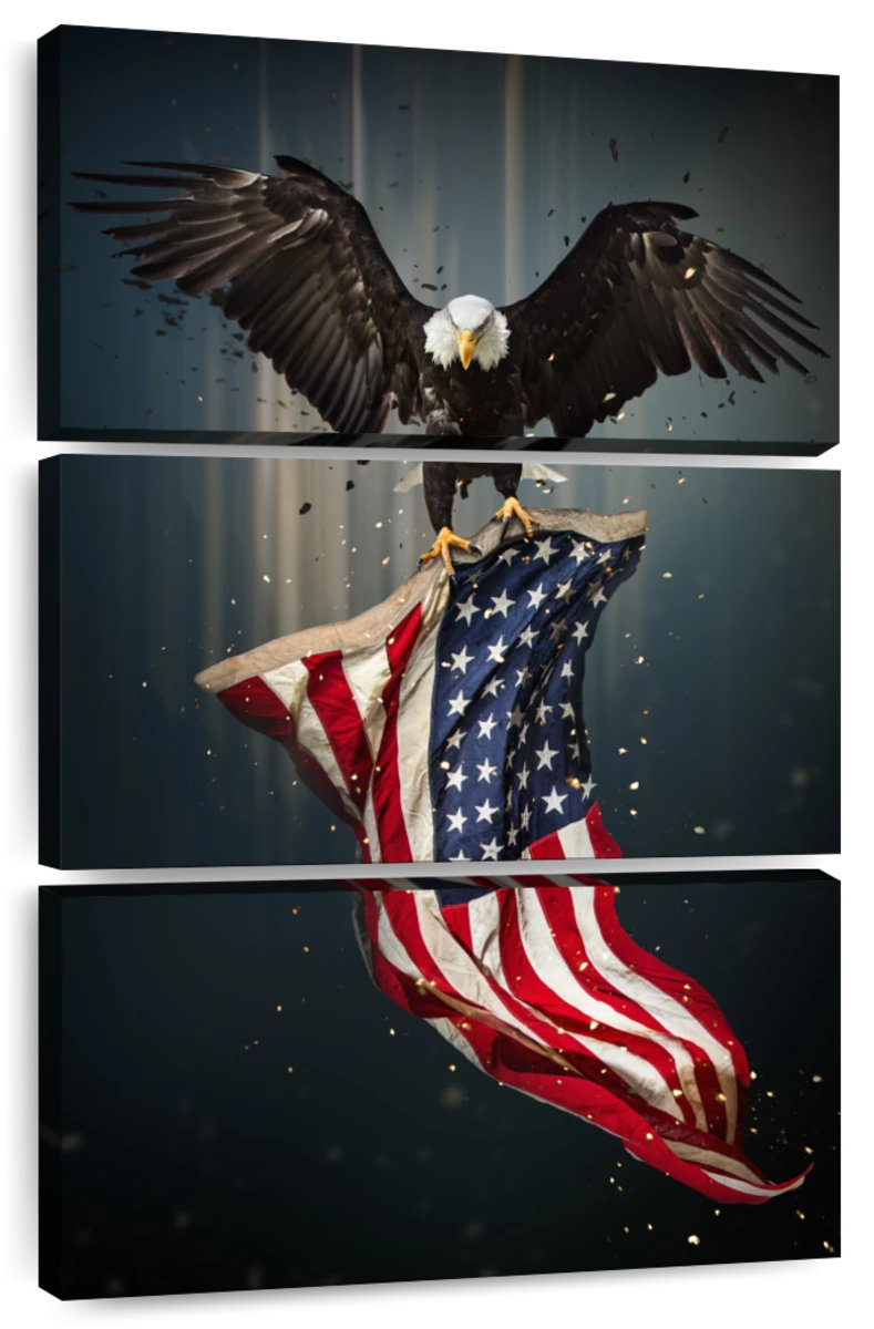 Ebern Designs Borges Eagle And American Flag | Wayfair