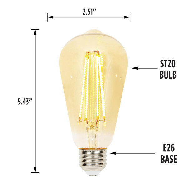 Westinghouse Lighting 60 Watt Equivalent ST20 E26/Medium (Standard ...