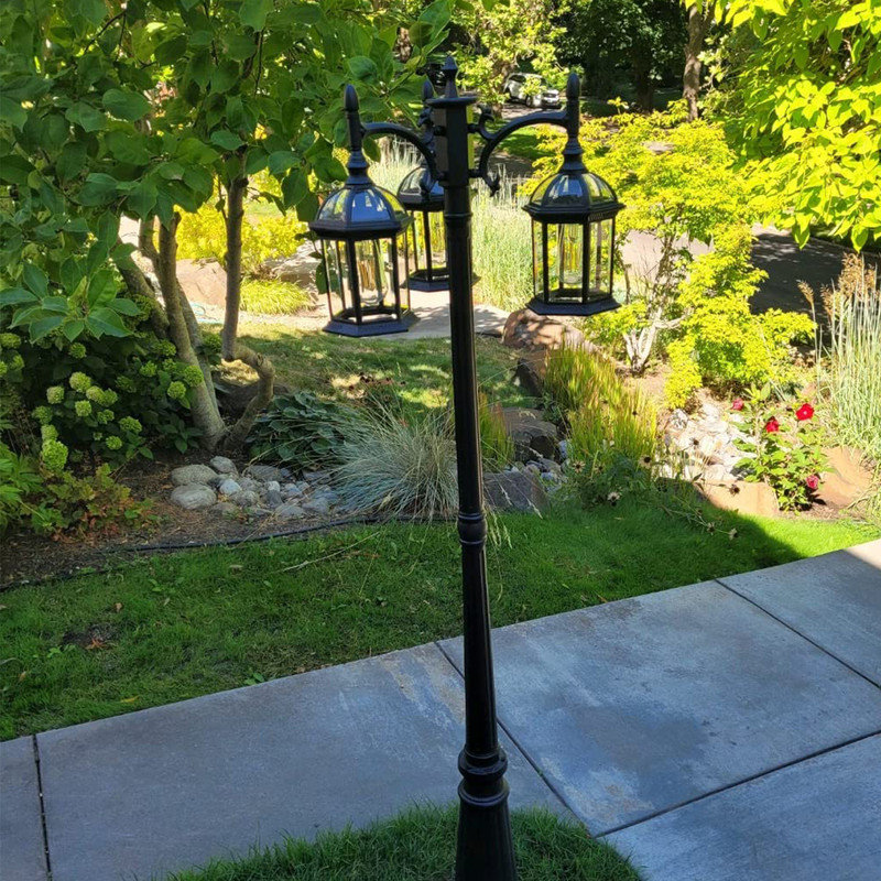 Canora Grey Outdoor Lamp Post Birdcage, Hardwired Street Light Post for ...