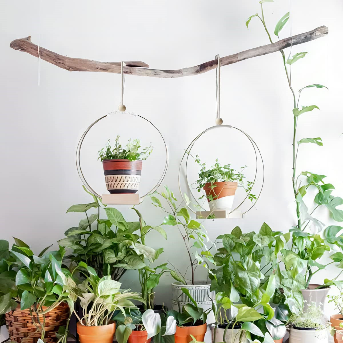 Mercer41 Hanging Plant Holder For Indoor Plants Hanging Planters For ...