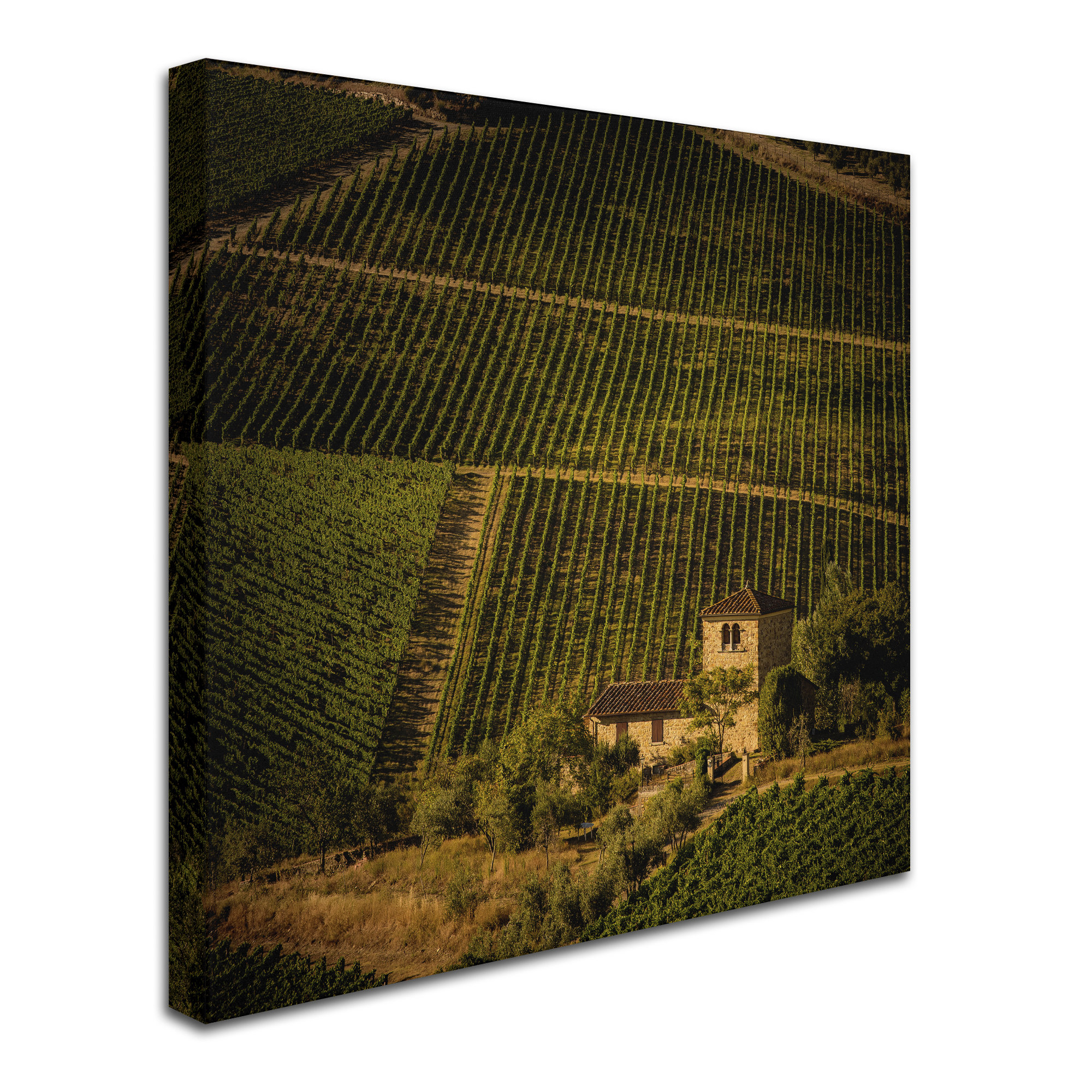 Union Rustic Leeth 'Vineyard' Photographic Print on Wrapped Canvas ...