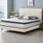 Alwyn Home Cool Hybrid Twin XL Mattress: 12" Gel Memory Foam & Pocket ...