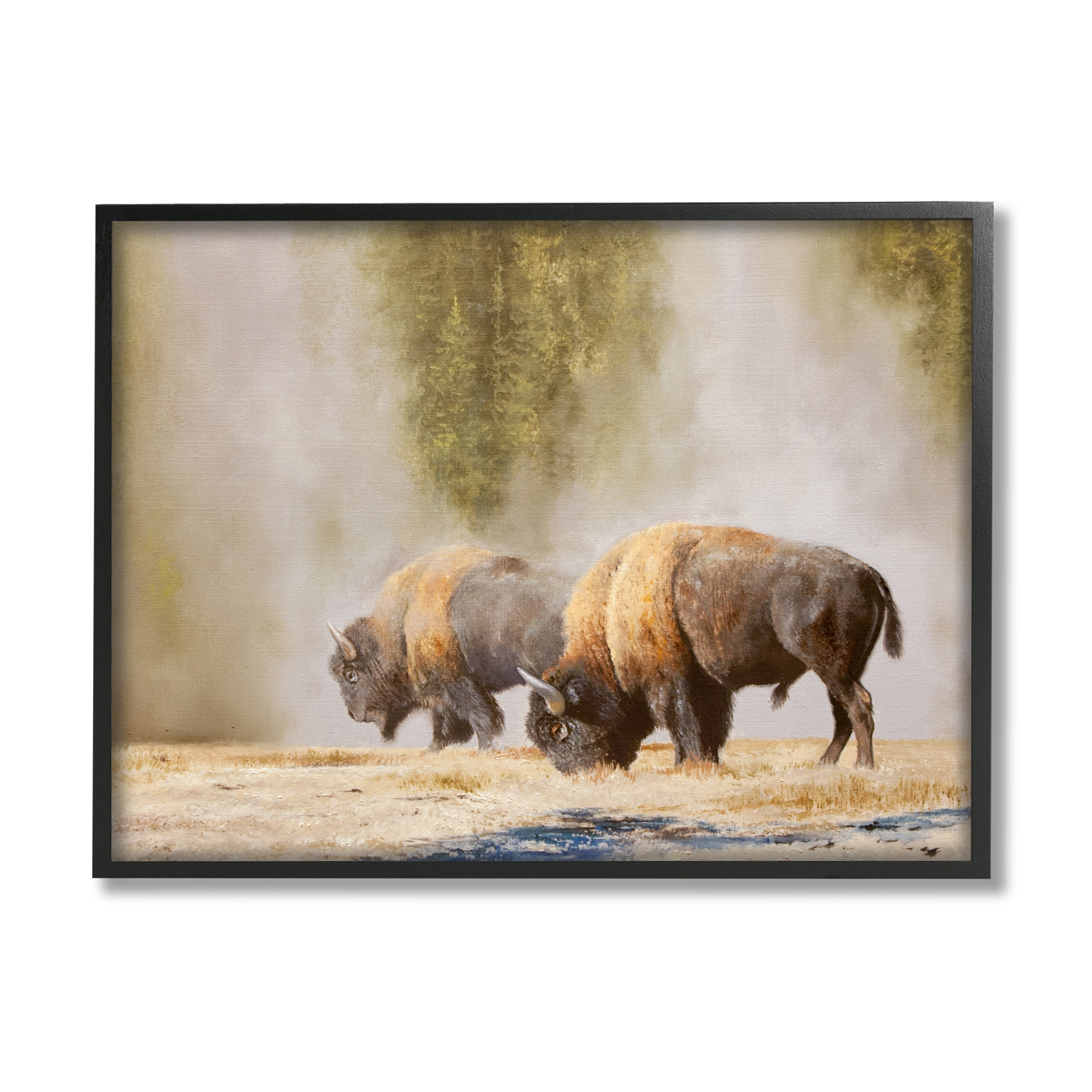 Stupell Industries Bison Wildlife Photography Framed Giclee Art By Mark ...