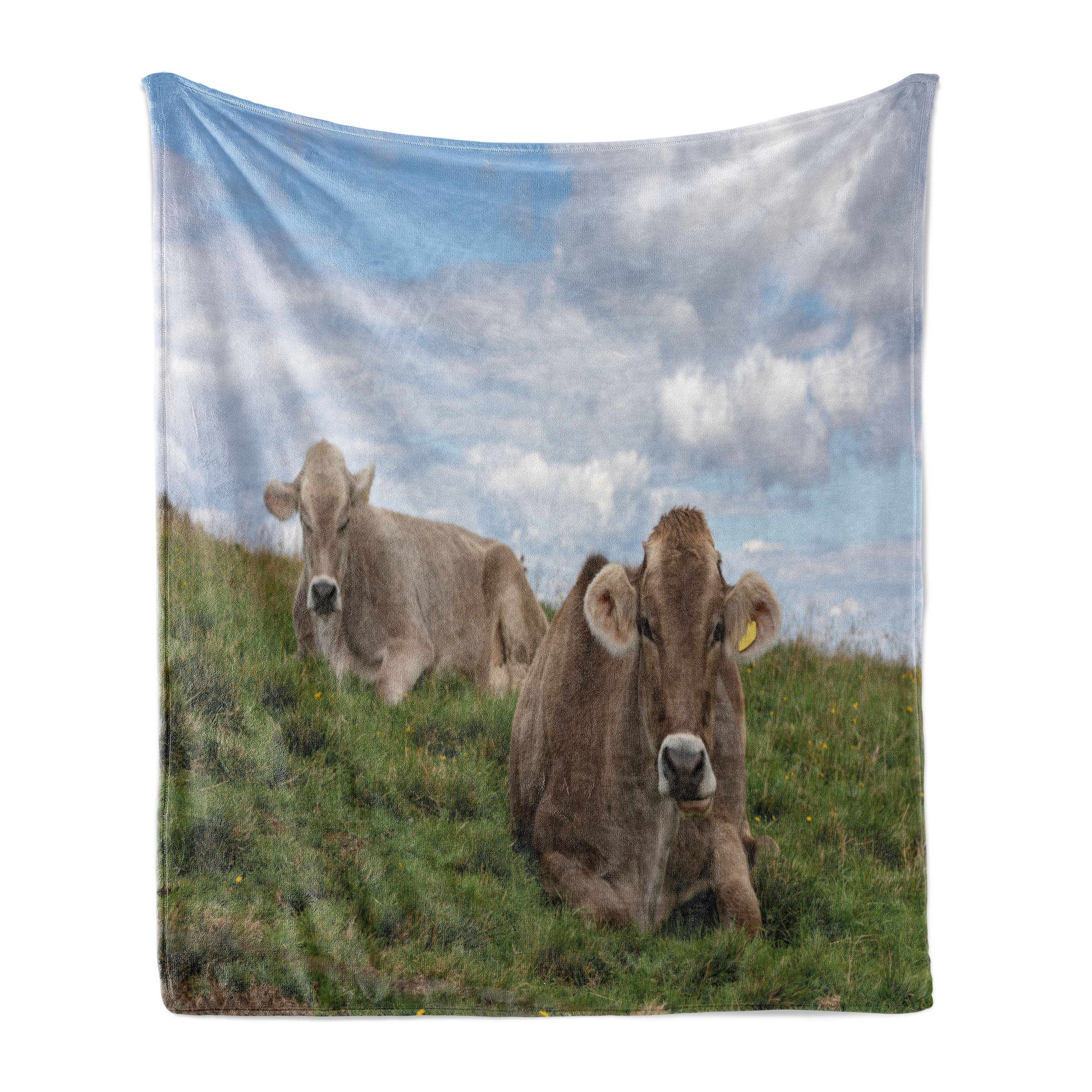 Ambesonne Farm Animal Fleece Throw Blanket Resting Cows and Sky ...