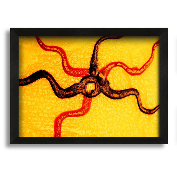 Ivy Bronx Rays of the Sun - Picture Frame Graphic Art on Canvas ...