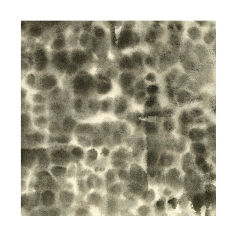 Wrought Studio Leopard Fade I On Canvas Painting | Wayfair