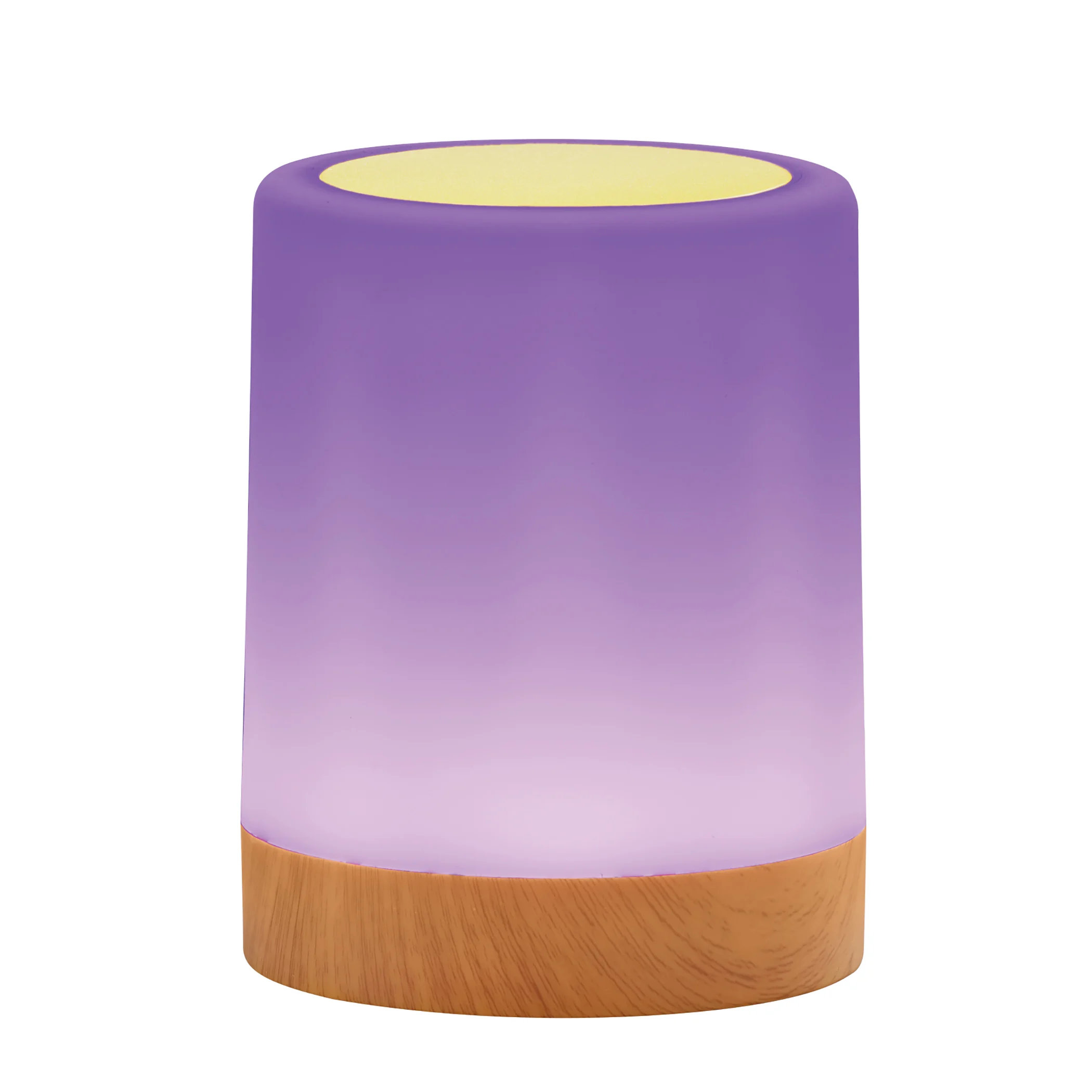 Ebern Designs Rechargeable Color-Changing Touch Light | Wayfair