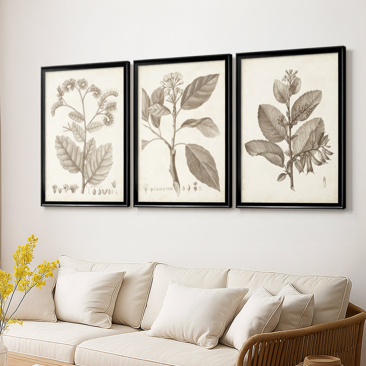 Canora Grey Antique Sepia Botanicals IV -Custom Framed Wrapped Gallery ...
