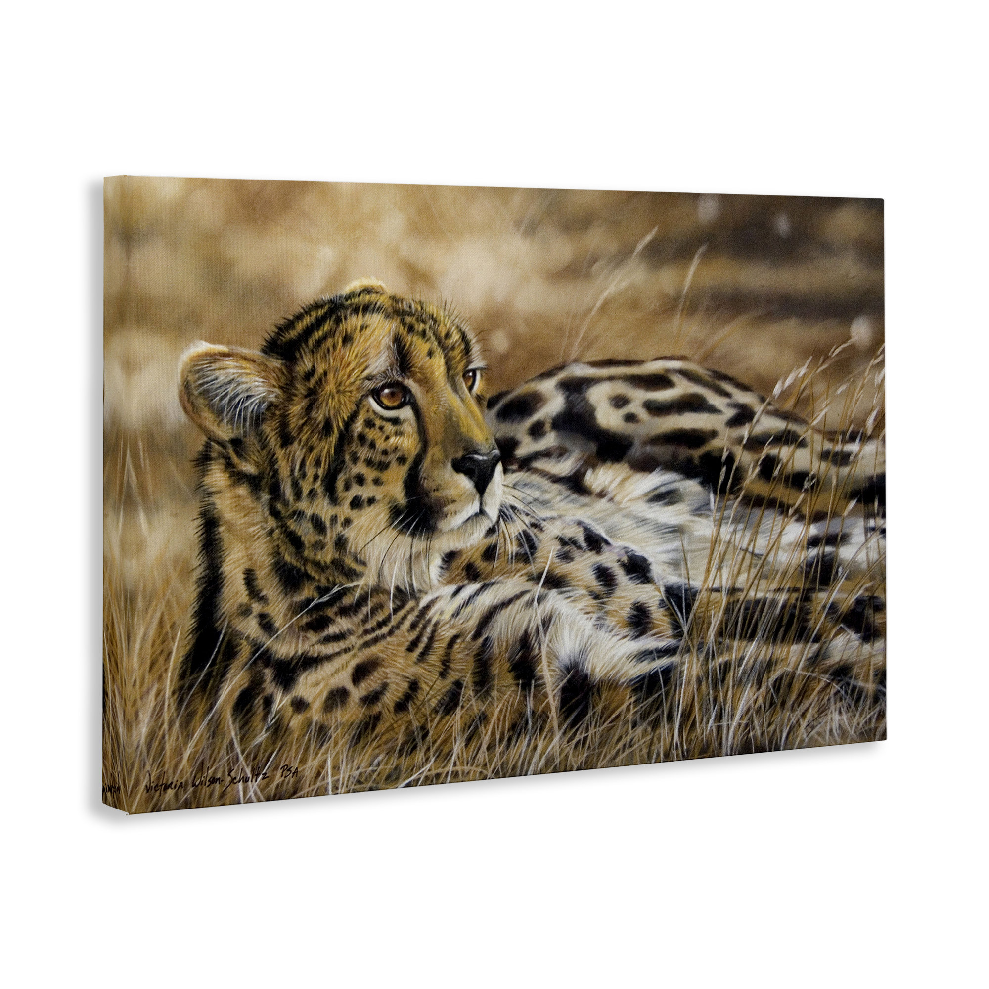 Millwood Pines Relaxing Leopard Scenery Canvas Wall Art by Victoria ...