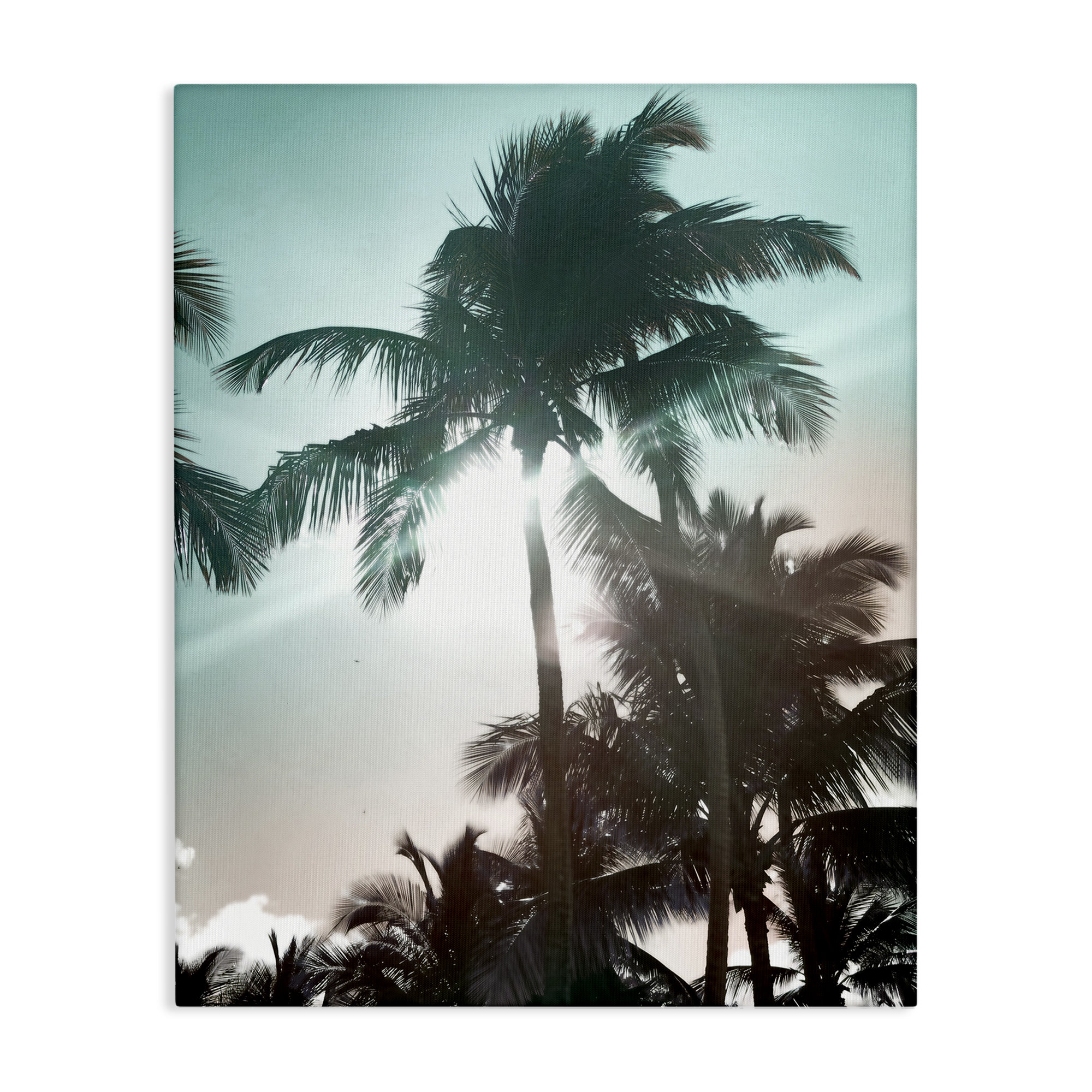 Bay Isle Home™ Shady Palm Trees Canvas Wall Art by Noah Bay | Wayfair
