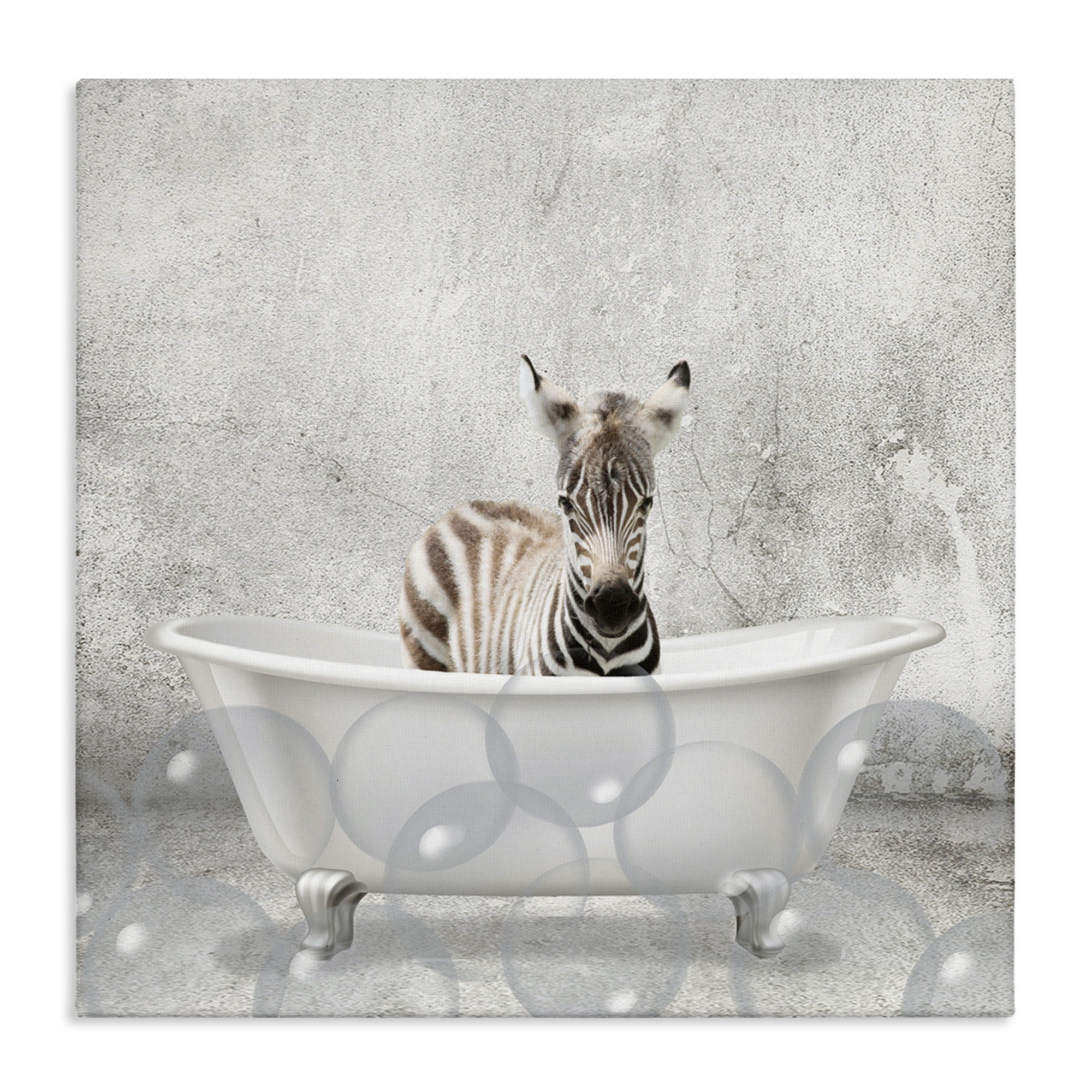 World Menagerie 'Baby Zebra Bath Time Cute Animal' by - Graphic Art ...