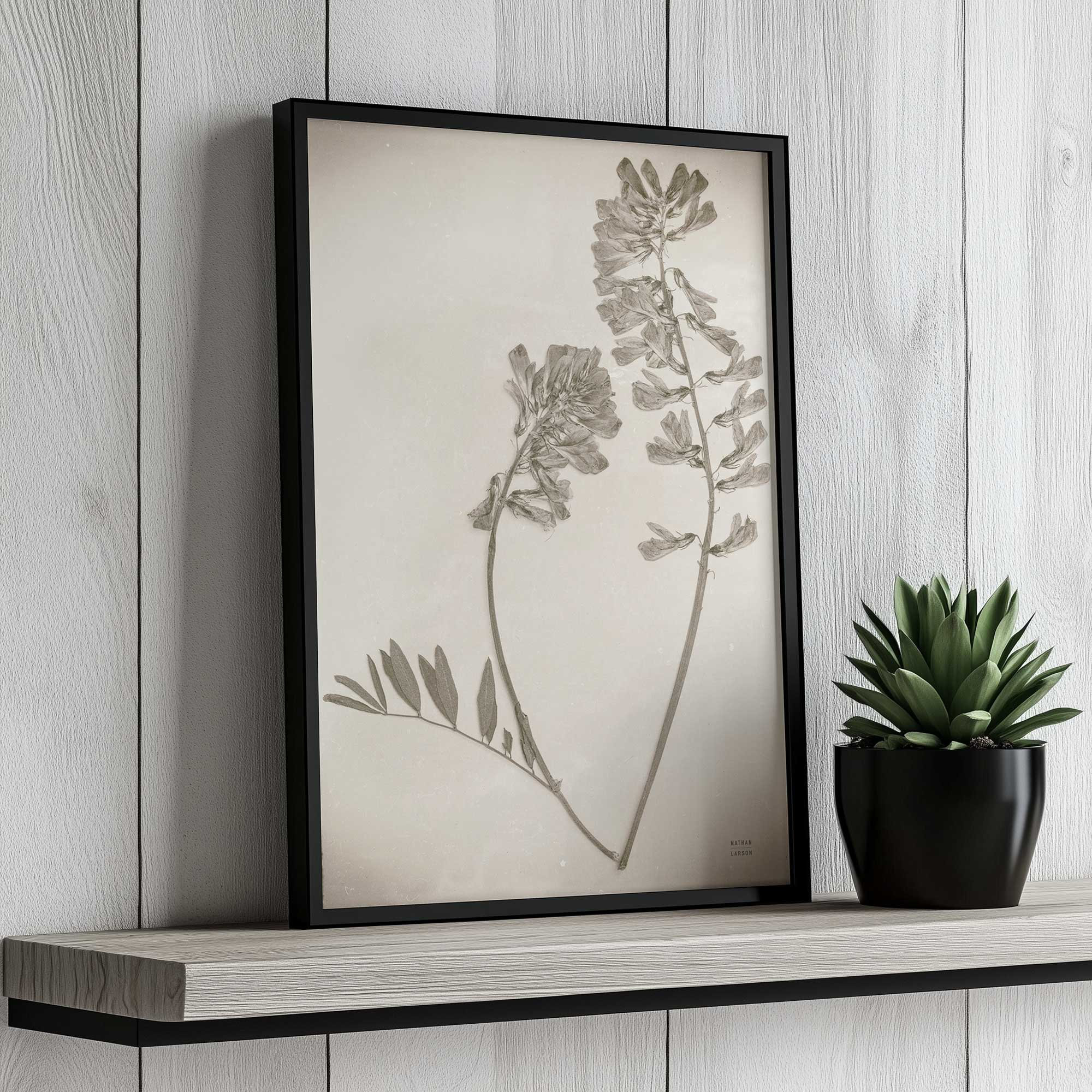 WayArt Wildflower Journal Vintage VI by Nathan Larson Art Print ...