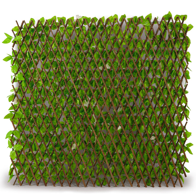 Ophelia & Co. 48"H X 18"W Expandable Willow Privacy Trellis | Wayfair