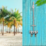 Wall Mounted Outdoor Showers You'll Love | Wayfair