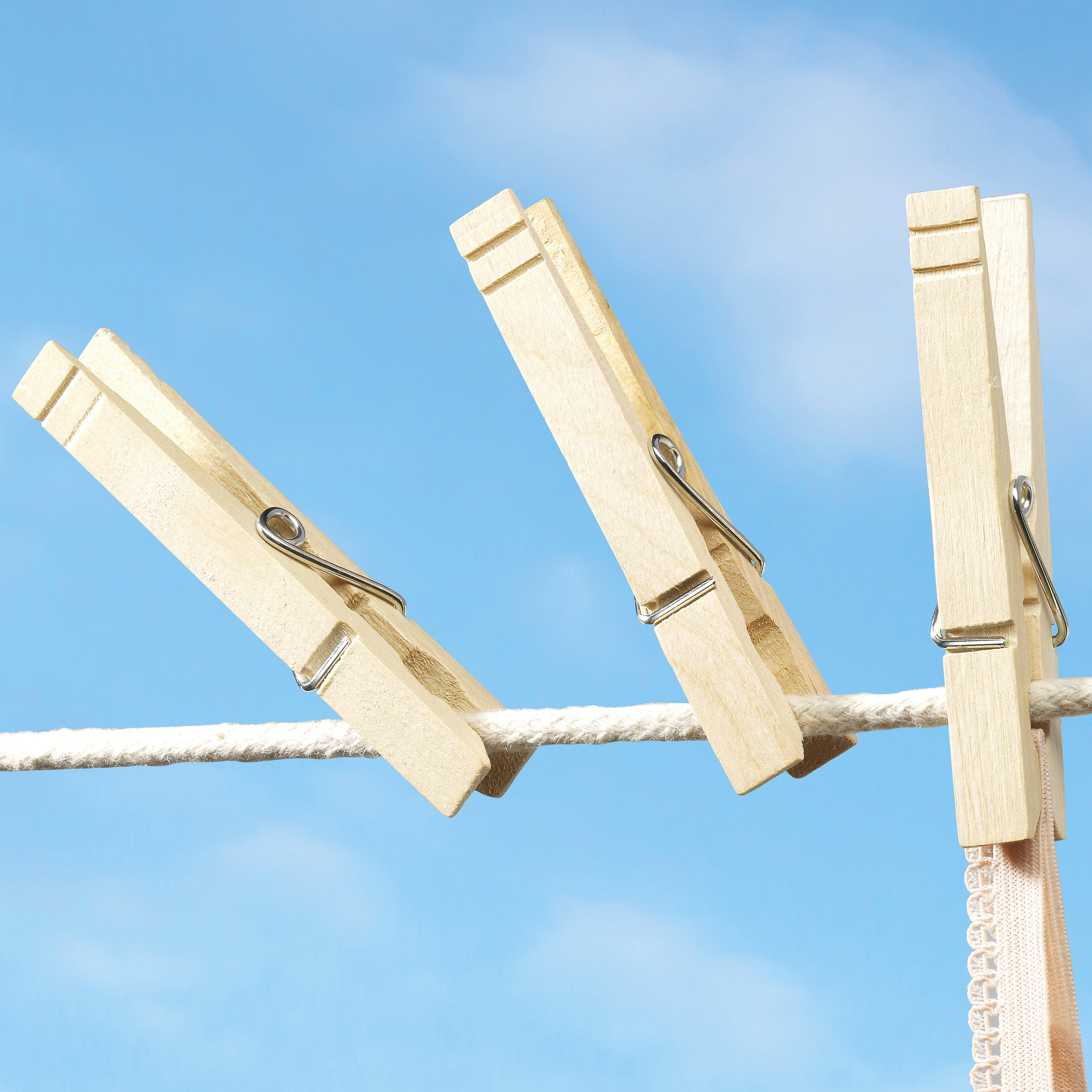 Whitmor, Inc 100 Count Clothes Pin & Reviews | Wayfair