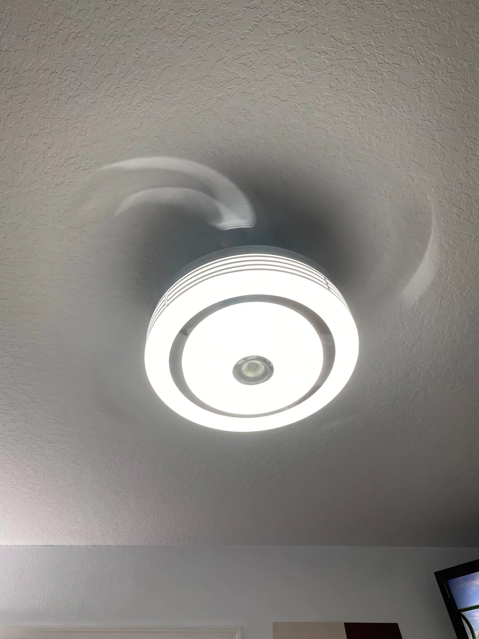 Orren Ellis Modern Smart Ceiling Fan with Light and Bluetooth Speaker ...