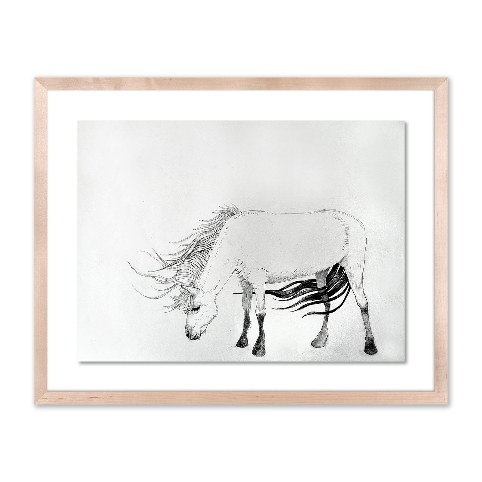 Four Hands Art Studio Icelandic Piny in the Wind by Amy Bautz Picture ...