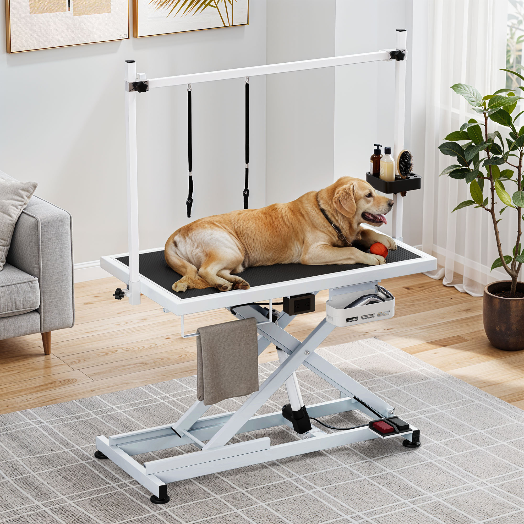 Edrosie Inc Heavy Duty Electric Grooming Table for Large Dogs with ...