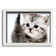 Latitude Run Aukerman Kitty Cat - Single Picture Frame Print | Wayfair ...