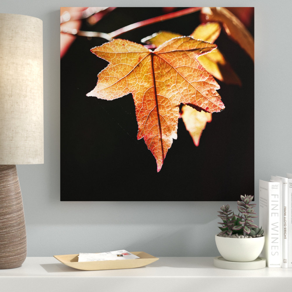 Ebern Designs 'Amber Leaves III' Photographic Print on Wrapped Canvas ...