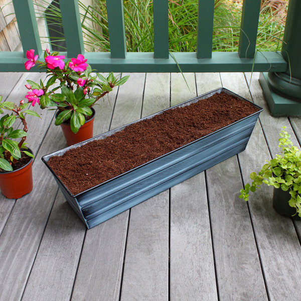 Gracie Oaks Jaimee-Lea Galvanized Steel Window Box Planter & Reviews ...