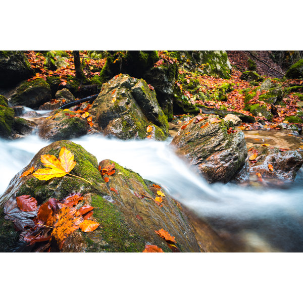 Alpen Home Autumn Stream by Borchee - Wrapped Canvas Print | Wayfair.co.uk