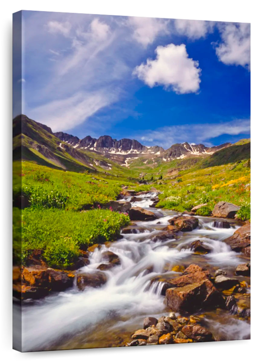 Millwood Pines Alvord Alpine Meadow Stream | Wayfair