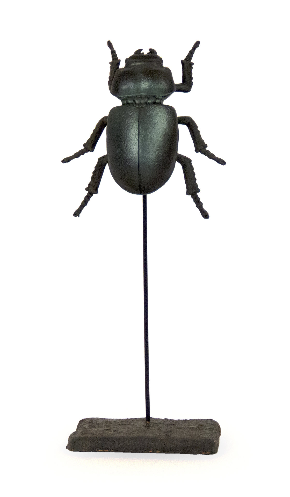 Zentique Small Stag Beetle on Stand | Perigold