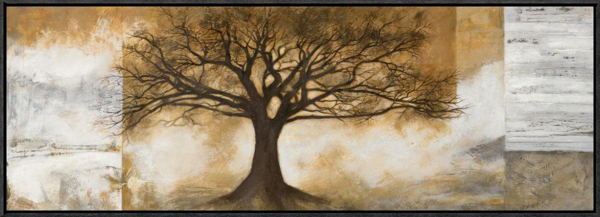 Global Gallery 'Naturalia' by Leonardo Bacci Framed Painting Print on ...