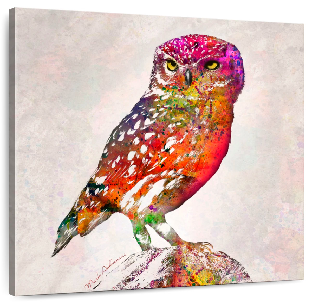Ebern Designs Crowle Colorful Owl | Wayfair