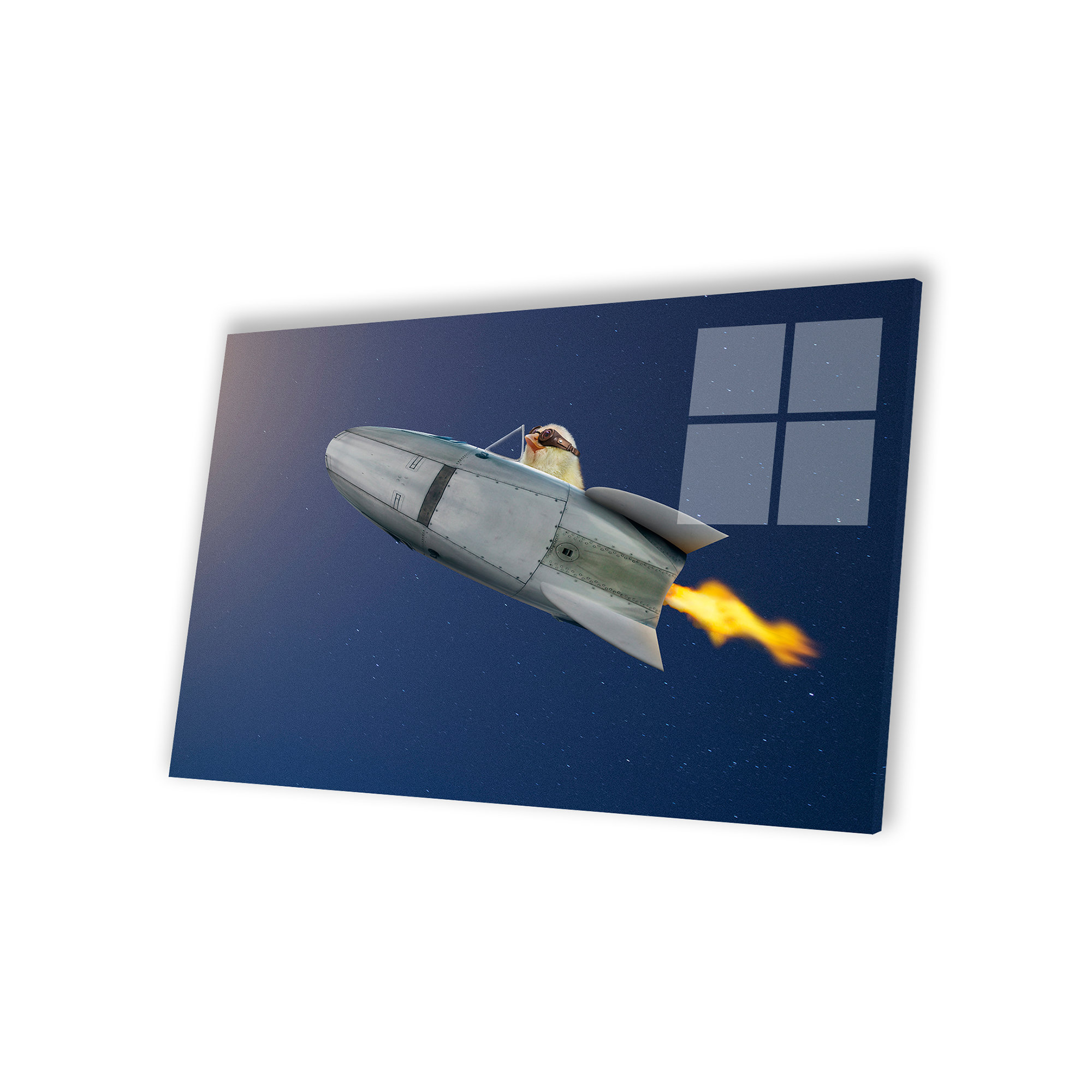 Trinx High Flying Chick by Lund Roeser | Wayfair